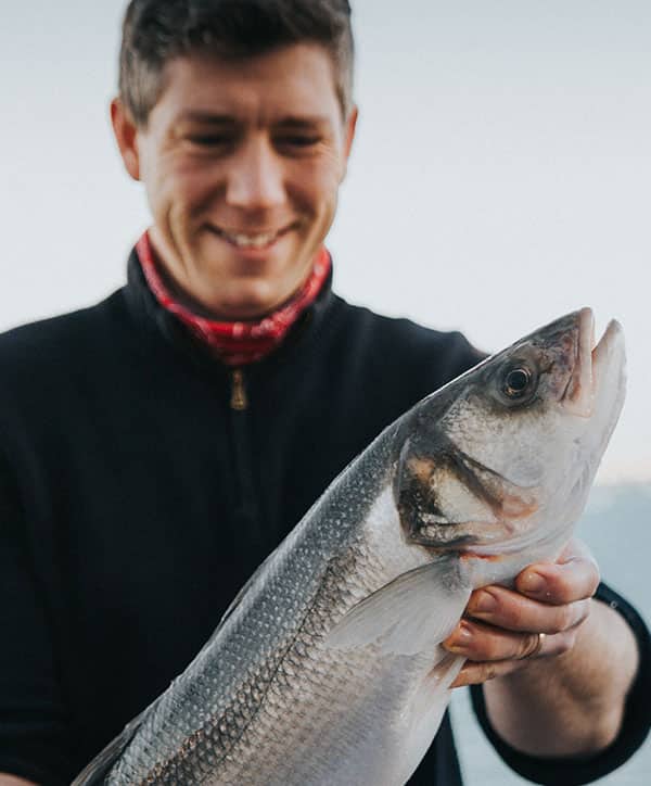 Responsible Sourcing - Brixham Fish Market - Trawler Agents