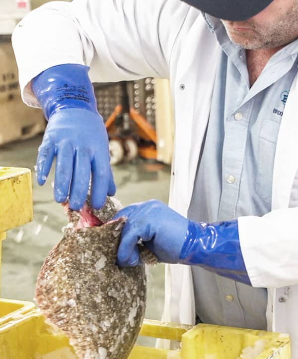 Fish Quality - Brixham Fish Market - Trawler Agents